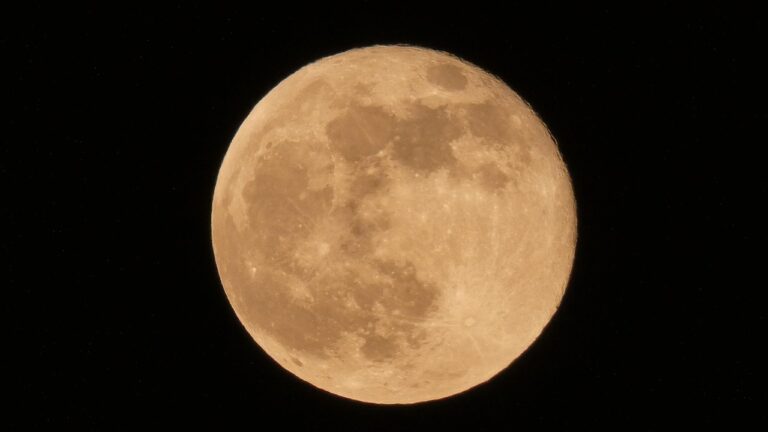 Quand semer la salade avec la lune en 2025 ? - Eco Graine